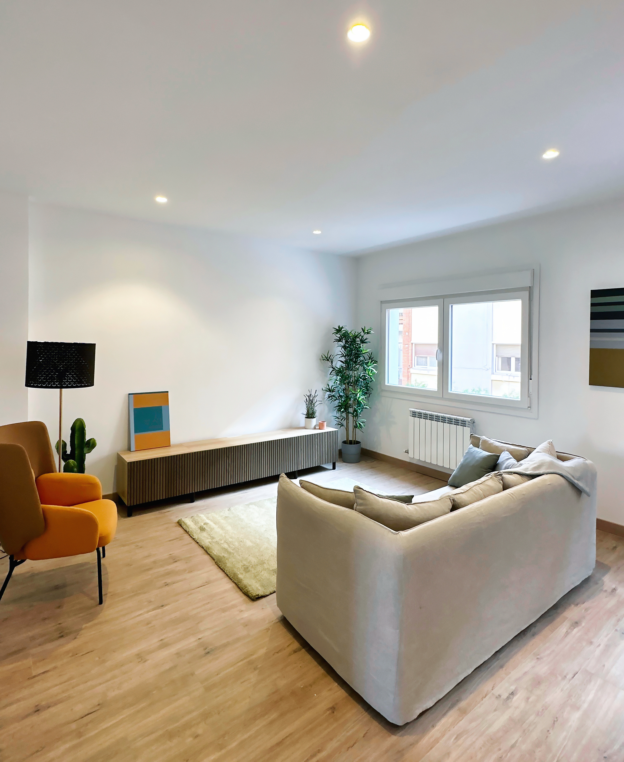 Decoración - Dreambox Studio